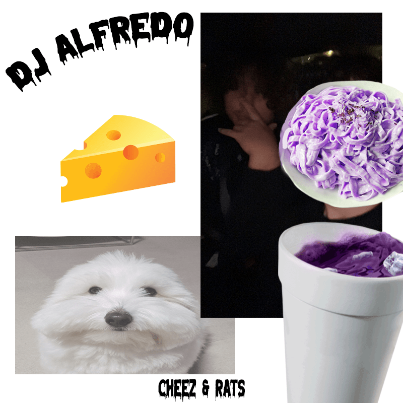 Cheez & Rats by DJ Alfredo (Single, Footwork): Reviews, Ratings ...