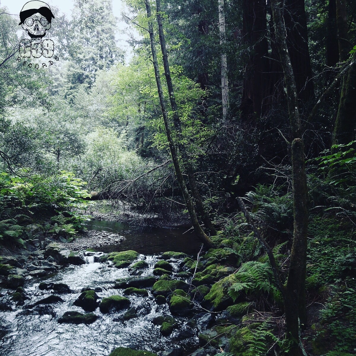 Who is Mike Jones? by Ramirez (Single, West Coast Hip Hop): Reviews ...