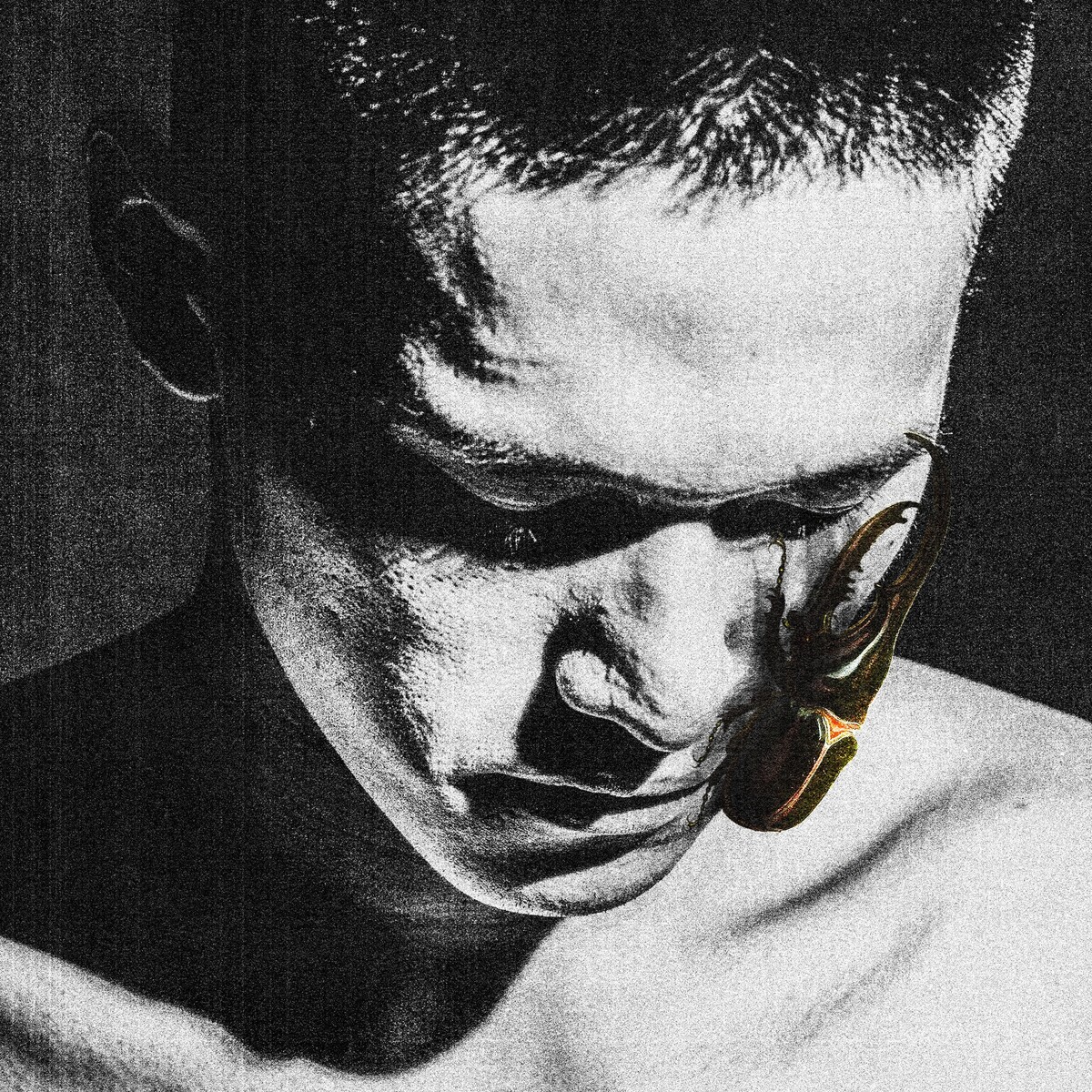 Matt Force by Matt Force (Album; Wildstyle): Reviews, Ratings, Credits ...