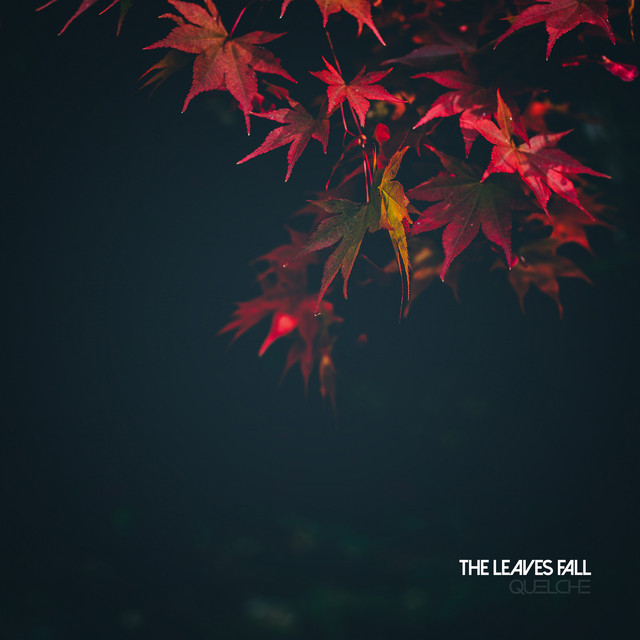 The Leaves Fall by Quelche (Album): Reviews, Ratings, Credits, Song ...