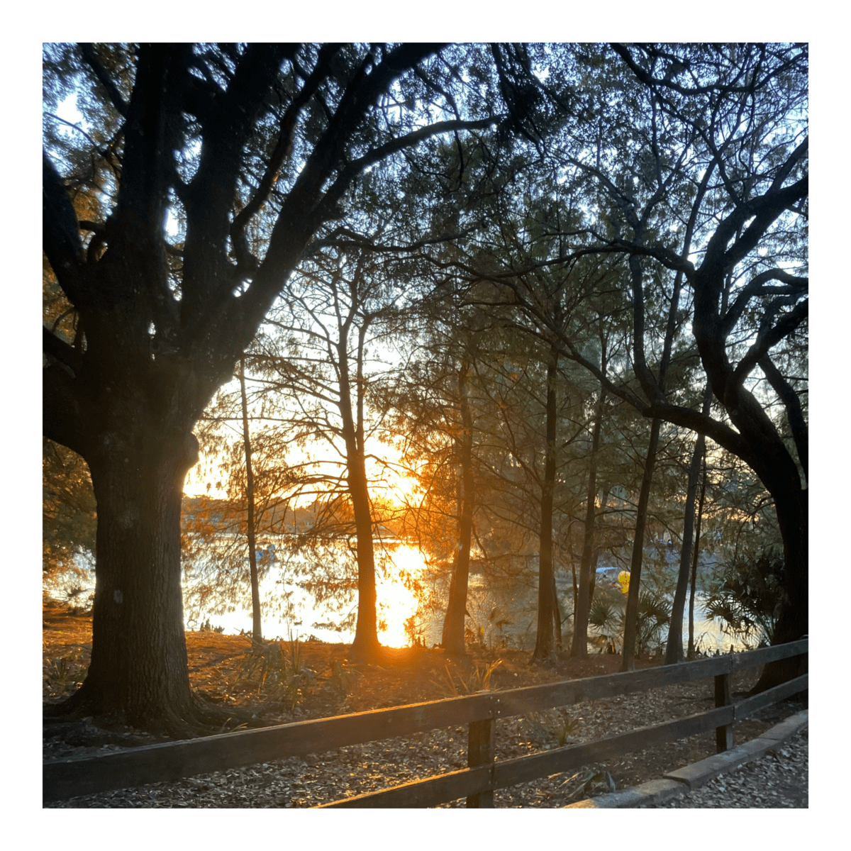 All Around Alienated by crying chiyo (Album): Reviews, Ratings, Credits ...