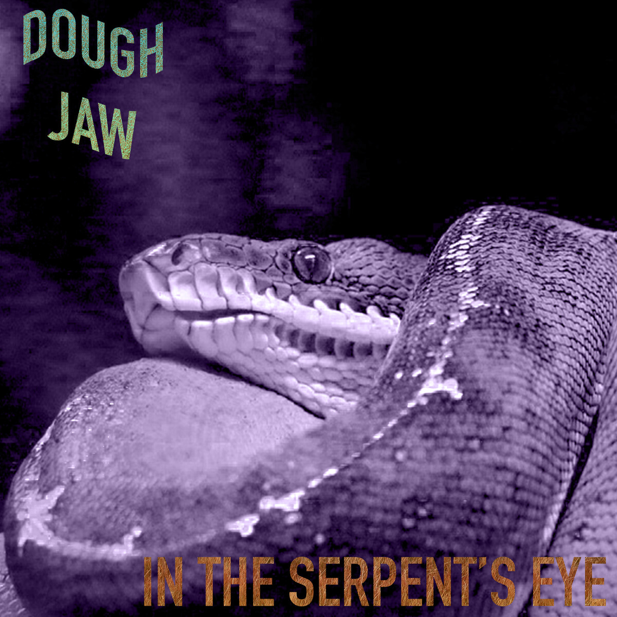 In The Serpent's Eye by Dough Jaw (Album): Reviews, Ratings, Credits, Song list - Rate Your Music