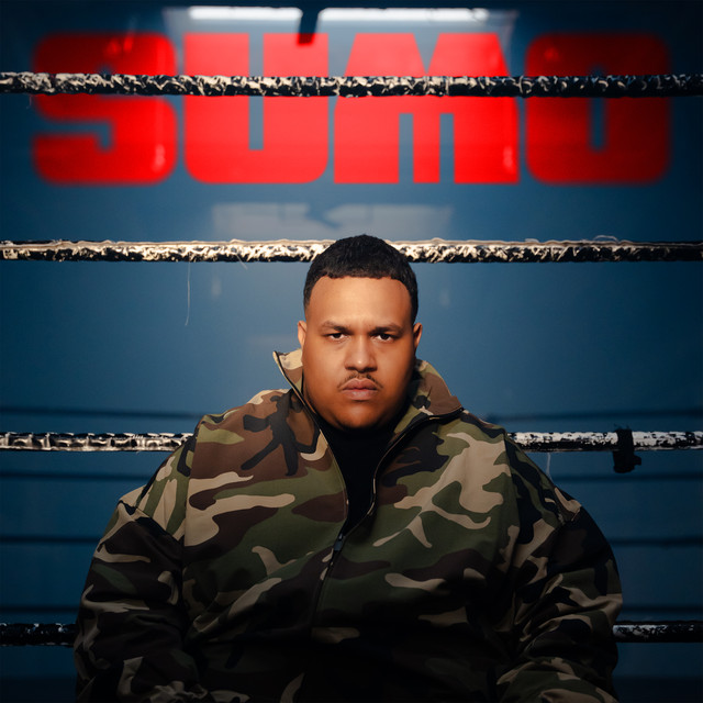 SUMO by DIKKE (Album): Reviews, Ratings, Credits, Song list - Rate Your ...