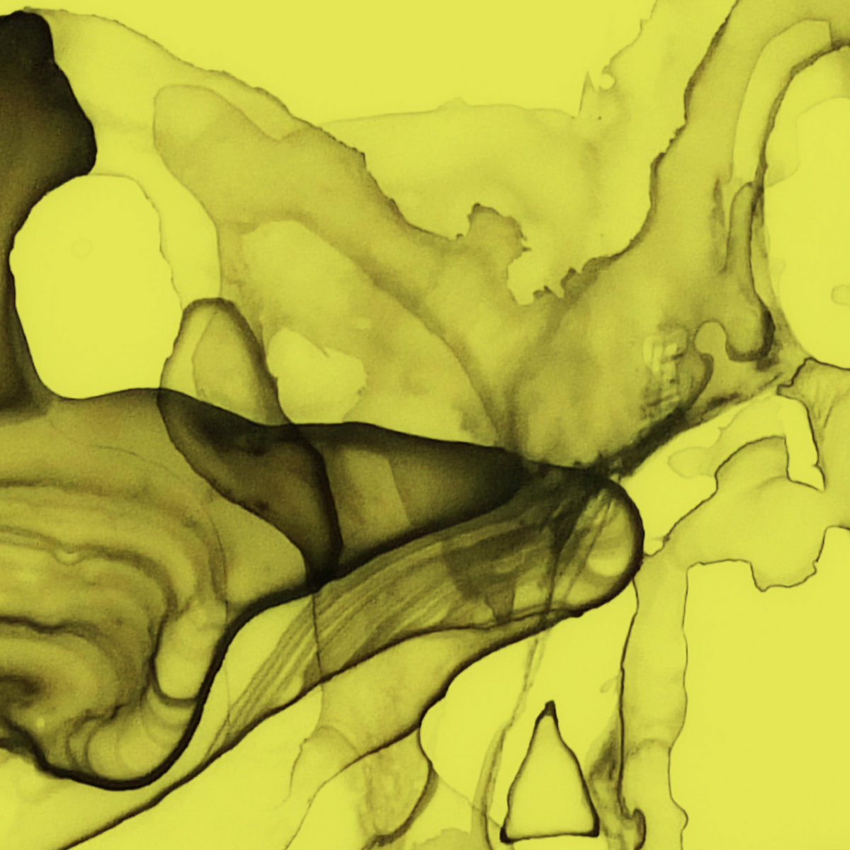 Kelly Doyle Albums: songs, discography, biography, and listening guide ...