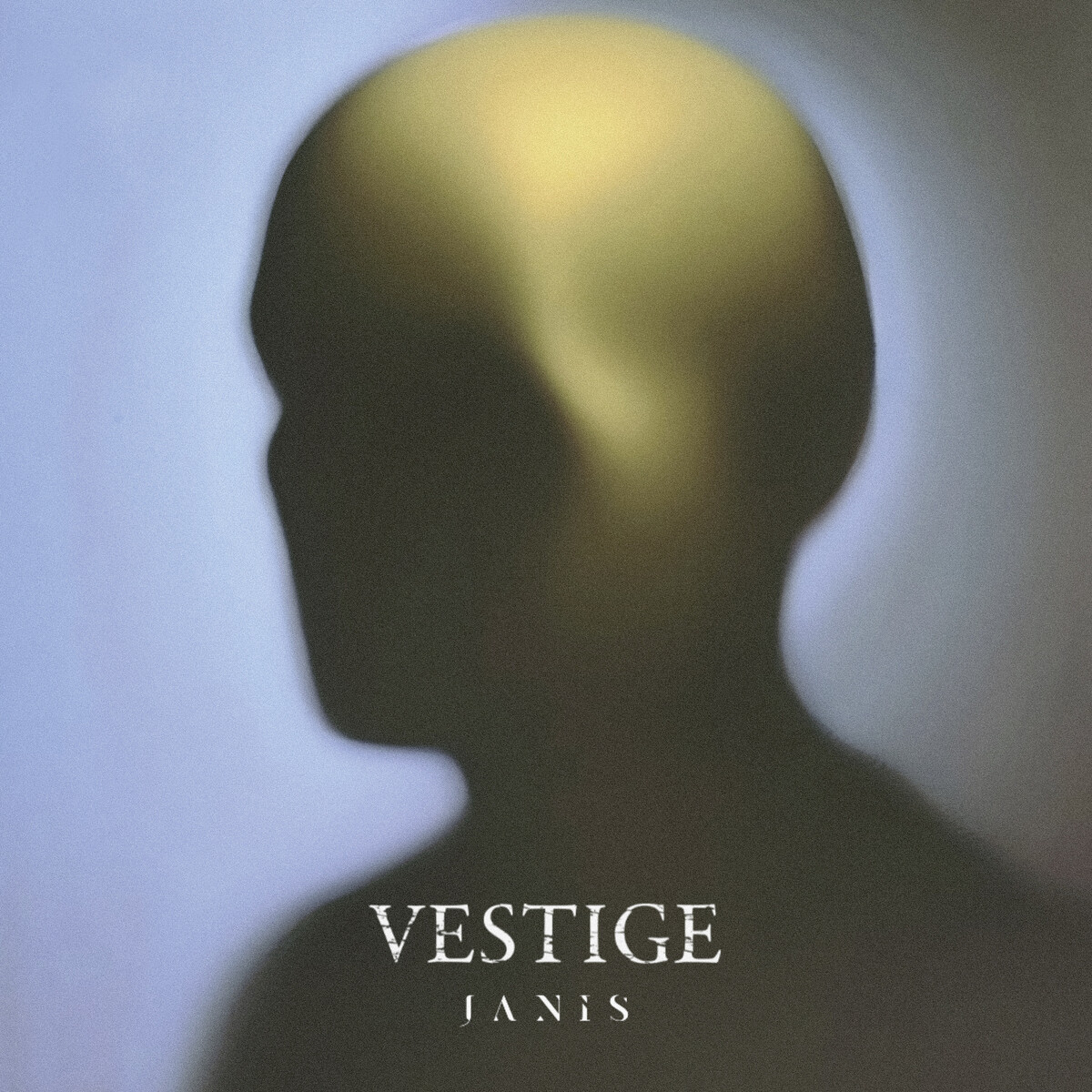 Vestige Albums: songs, discography, biography, and listening guide ...