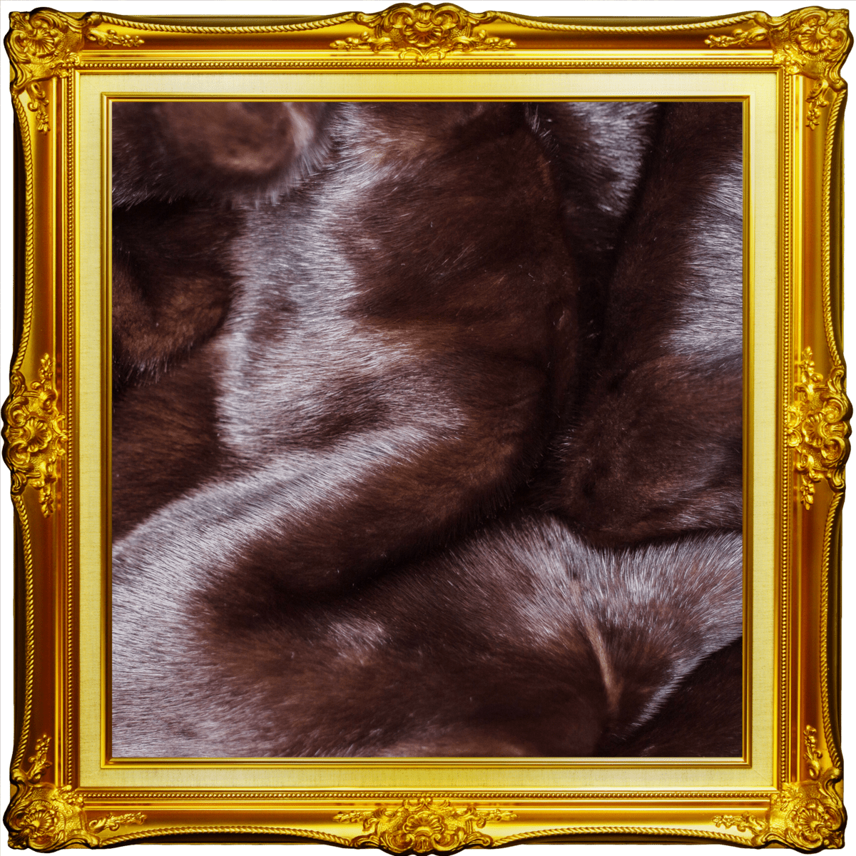 Sable by Black Water (Album, Experimental Hip Hop): Reviews, Ratings ...