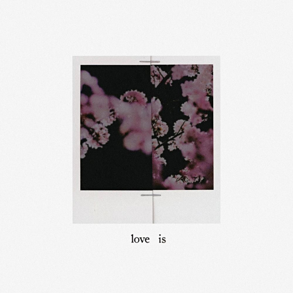 love is by Owen (Album): Reviews, Ratings, Credits, Song list - Rate ...