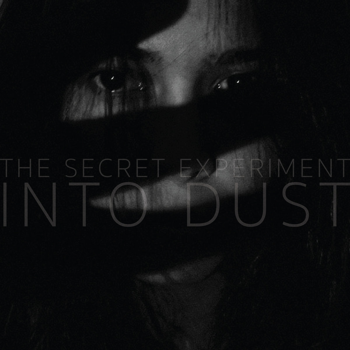 Into Dust by The Secret Experiment (Single, Darkwave): Reviews, Ratings ...