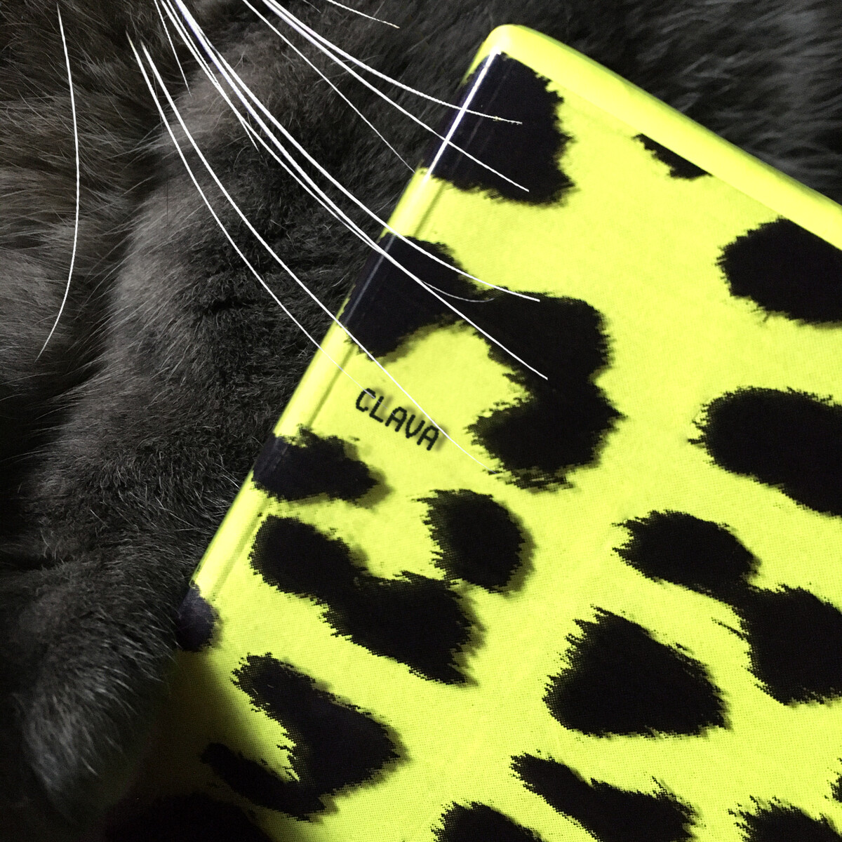 Wesqk Coast Albums: songs, discography, biography, and listening guide ...