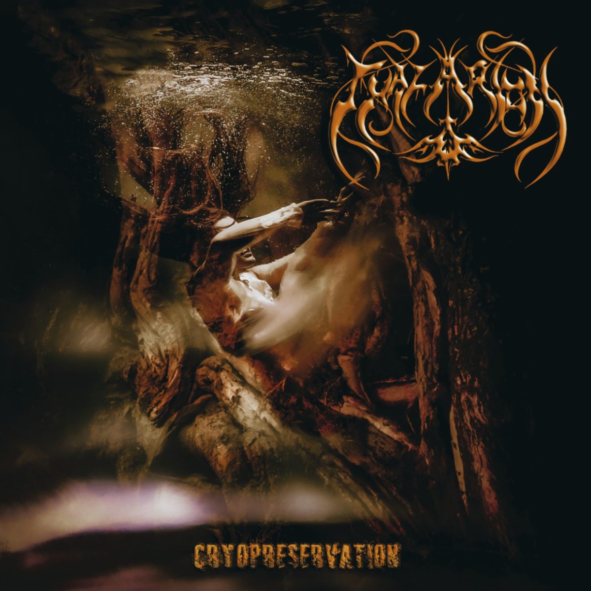 Cryopreservation by Thalarion (Album, Gothic Metal): Reviews, Ratings ...