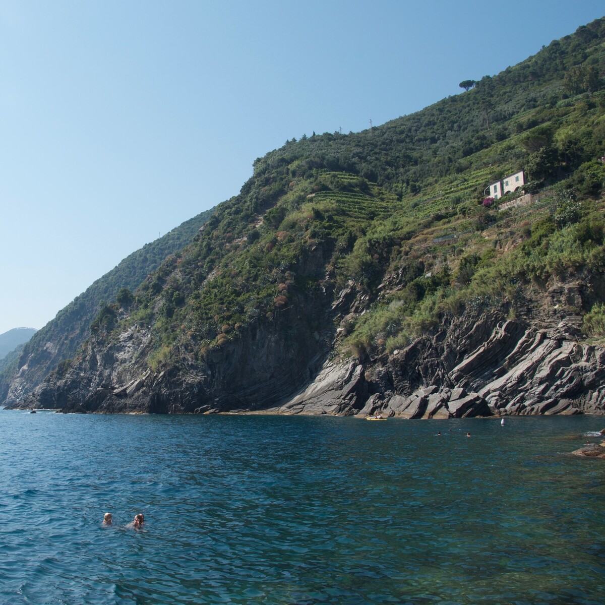 Dan Fabris Albums: songs, discography, biography, and listening guide ...