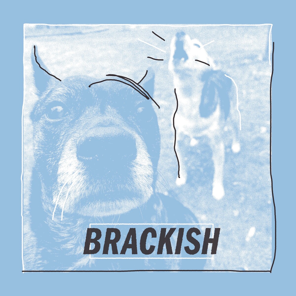 Brackish Albums: songs, discography, biography, and listening guide ...