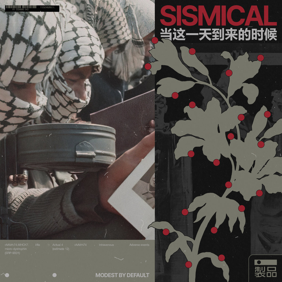 Sismical (当这一天到来的时候) by Modest by Default (Album): Reviews, Ratings, Credits, Song list - Rate ...