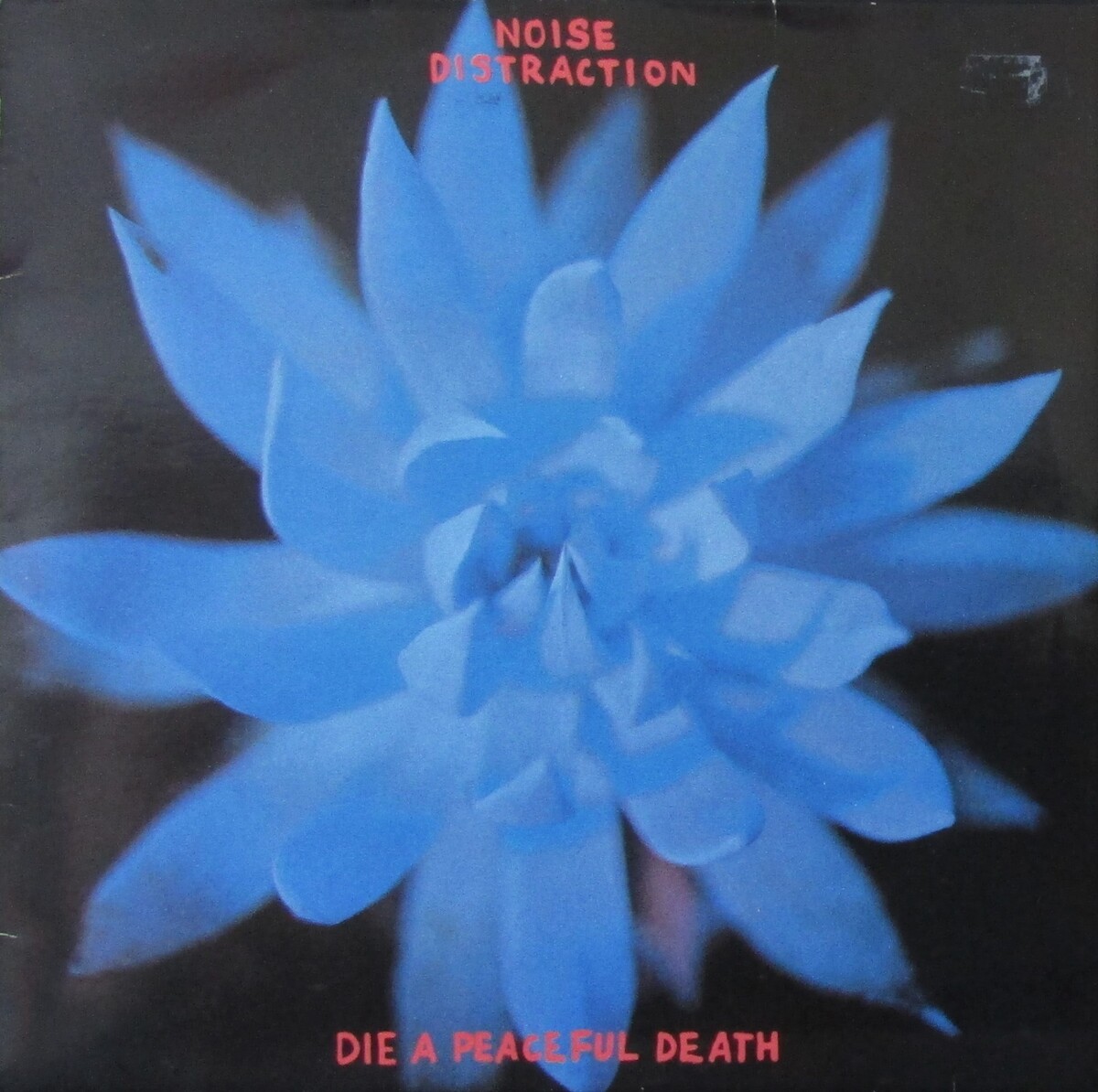 Noise Distraction Albums: songs, discography, biography, and listening ...