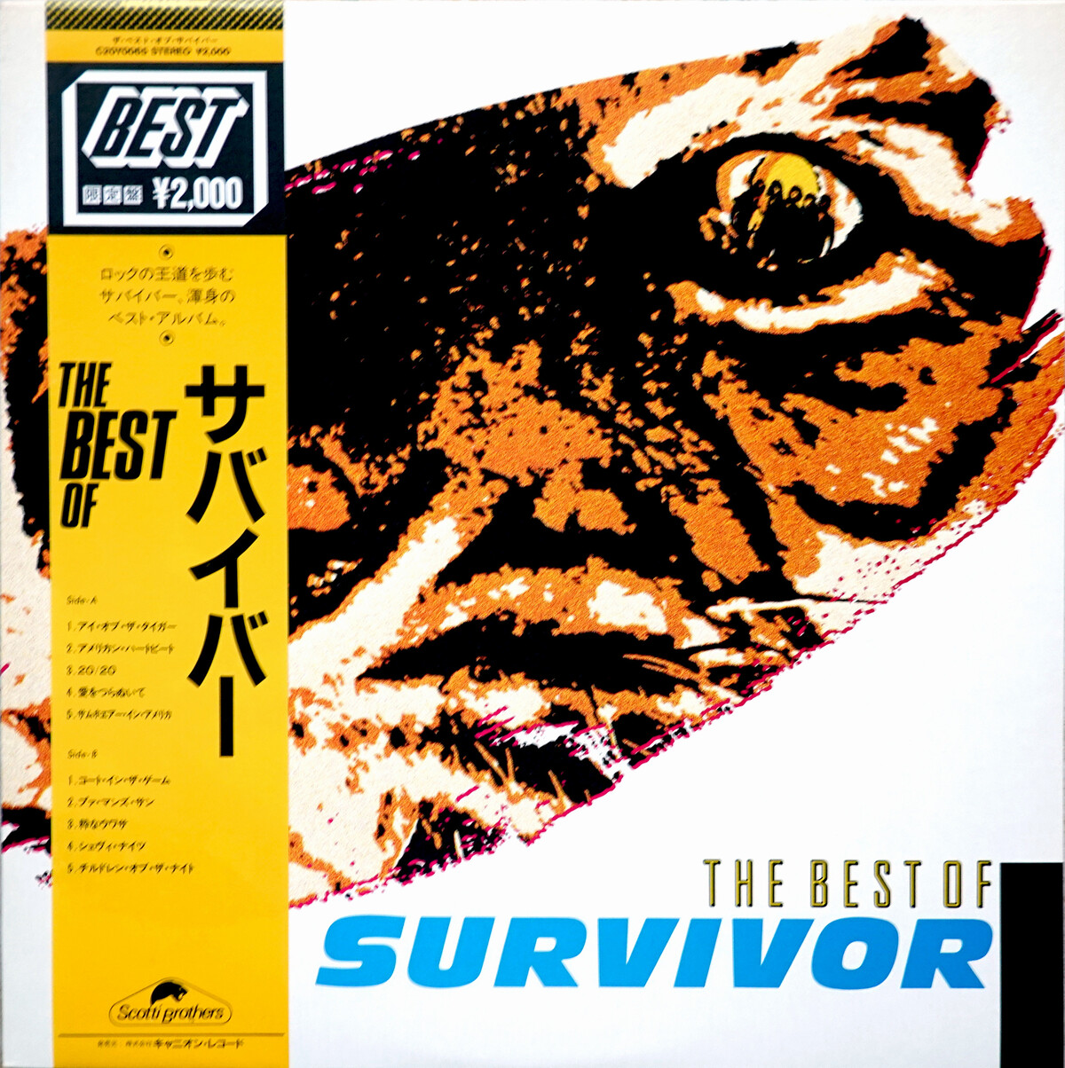 The Best of Survivor by Survivor (Compilation): Reviews, Ratings ...