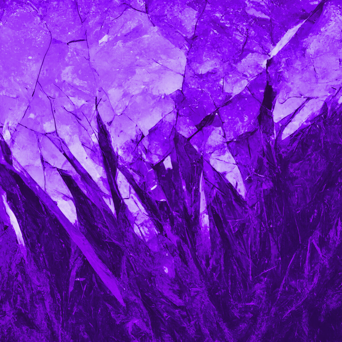 turista digital Albums: songs, discography, biography, and listening ...