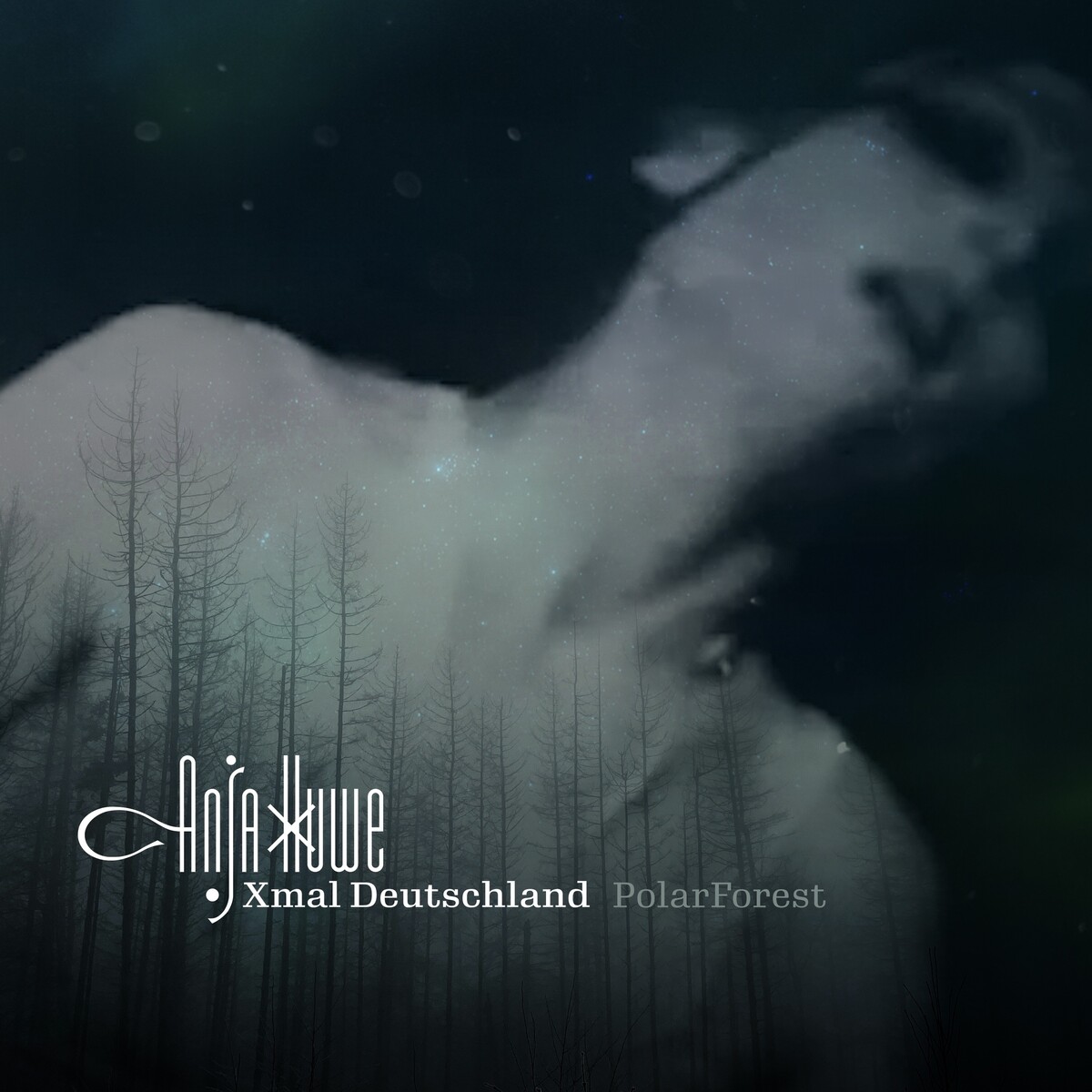 PolarForest by Anja Huwe (Single): Reviews, Ratings, Credits, Song list - Rate Your Music