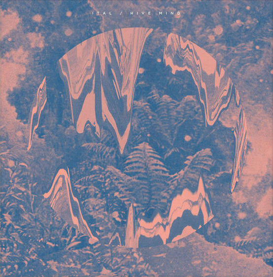 Hive Mind by Ital (Album; Planet Mu; ZIQ312CD): Reviews, Ratings ...