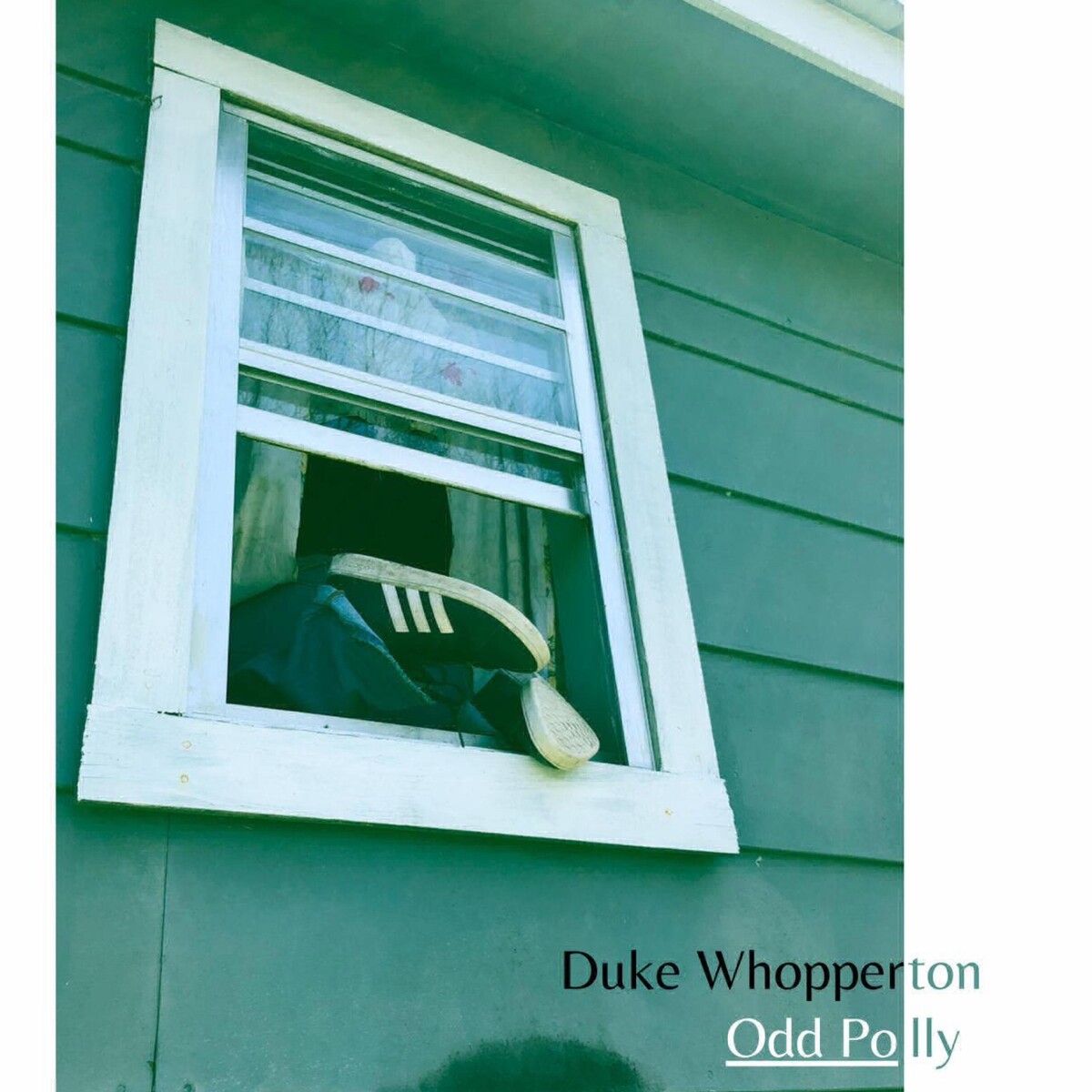 Duke Whopperton by Odd Polly (Single): Reviews, Ratings, Credits, Song ...