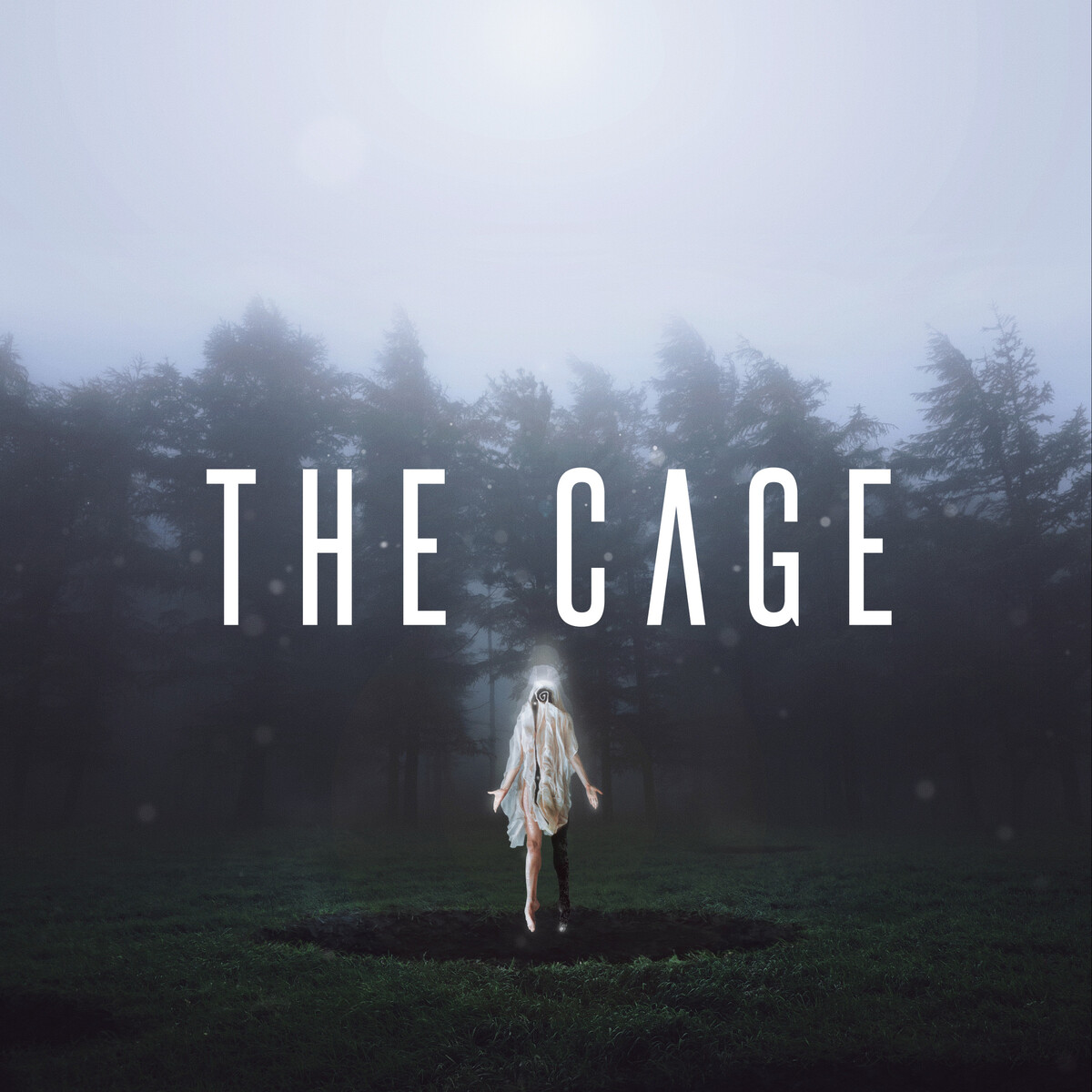 The Cage by Citizen Soldier (Single): Reviews, Ratings, Credits, Song ...