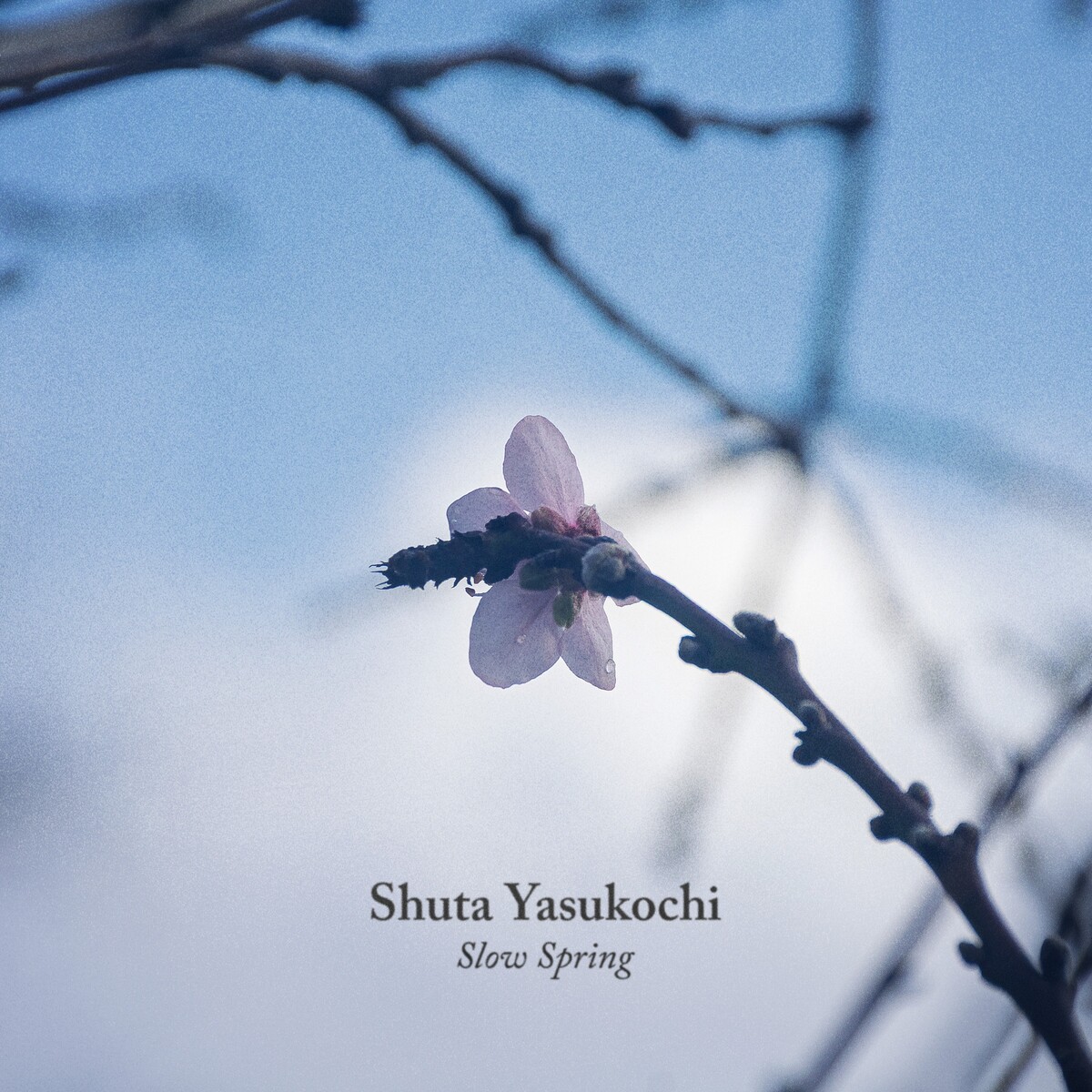 Slow Spring by Shuta Yasukochi (Single): Reviews, Ratings, Credits ...