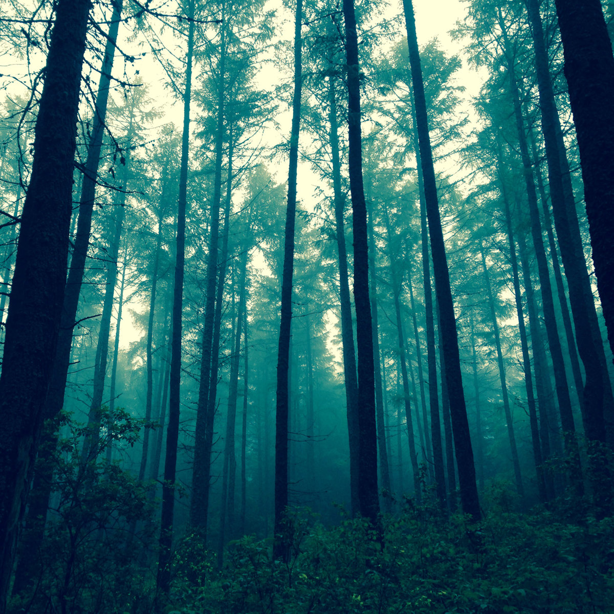 Martin Goodwin Albums: songs, discography, biography, and listening ...