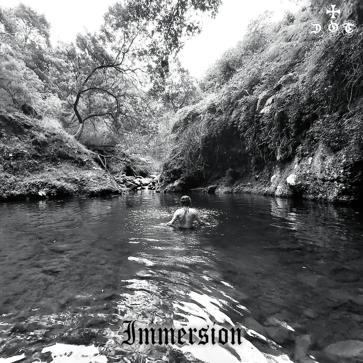 Immersion by DOT Dominus (Album; n/a): Reviews, Ratings, Credits, Song list - Rate Your Music