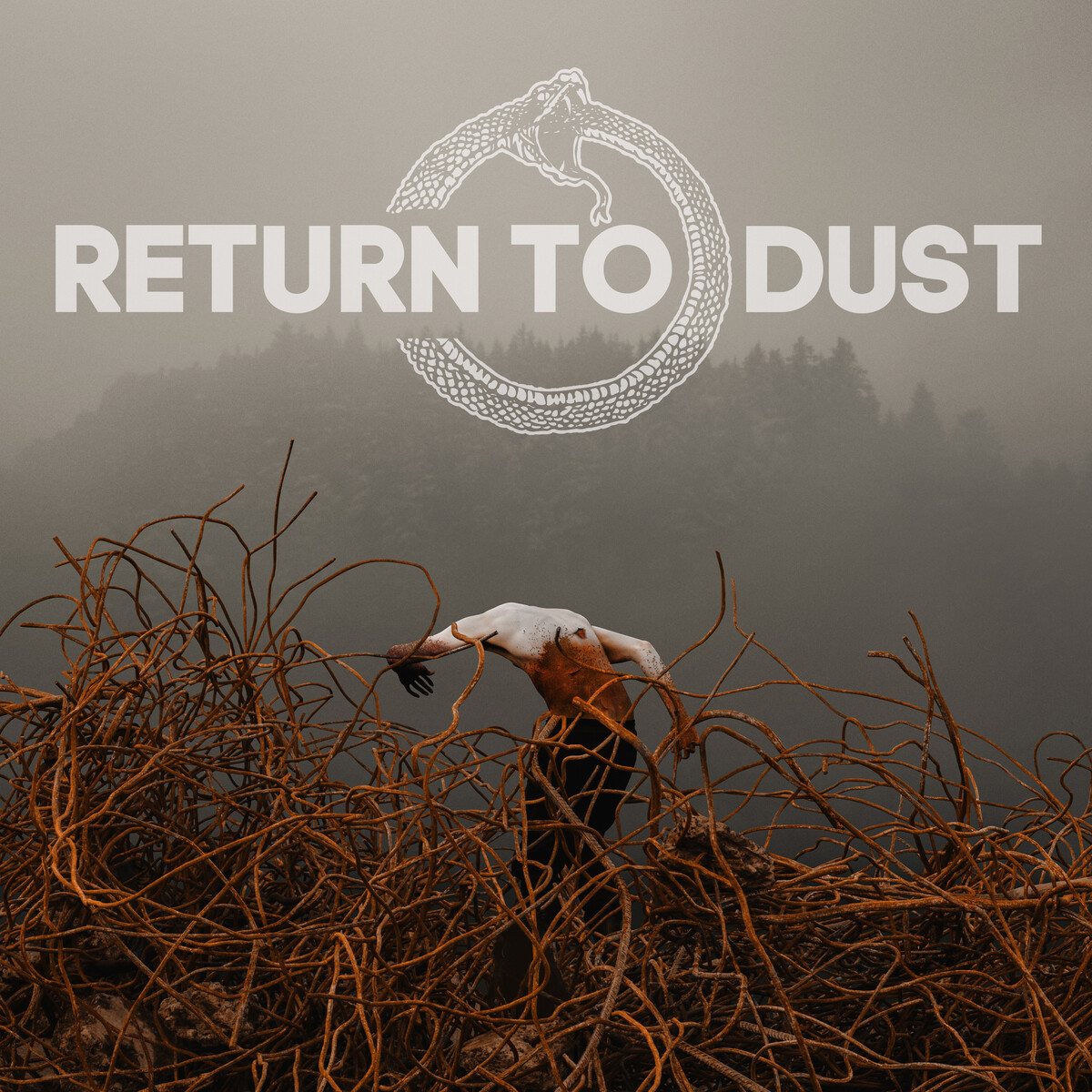 Return to Dust Albums: songs, discography, biography, and listening ...