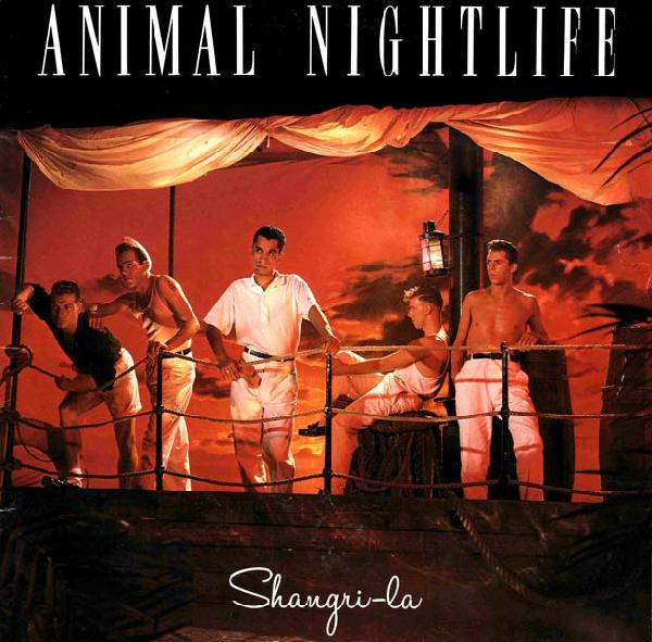 Animal Nightlife Albums: songs, discography, biography, and listening ...
