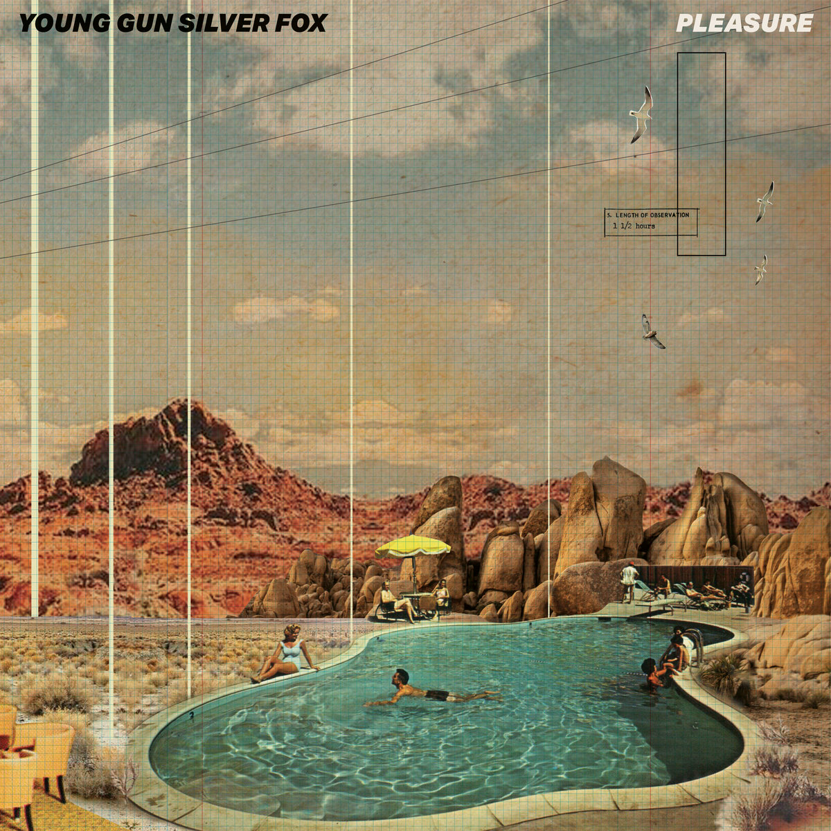 Pleasure by Young Gun Silver Fox (Album, Yacht Rock): Reviews, Ratings, Credits, Song list ...