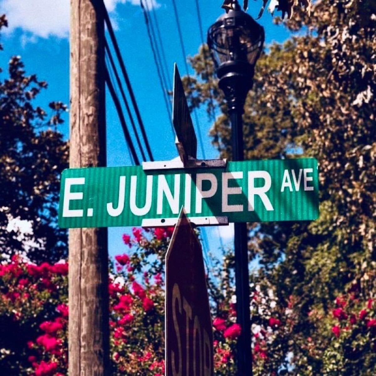 Juniper Avenue by Juniper Avenue (Album): Reviews, Ratings, Credits ...