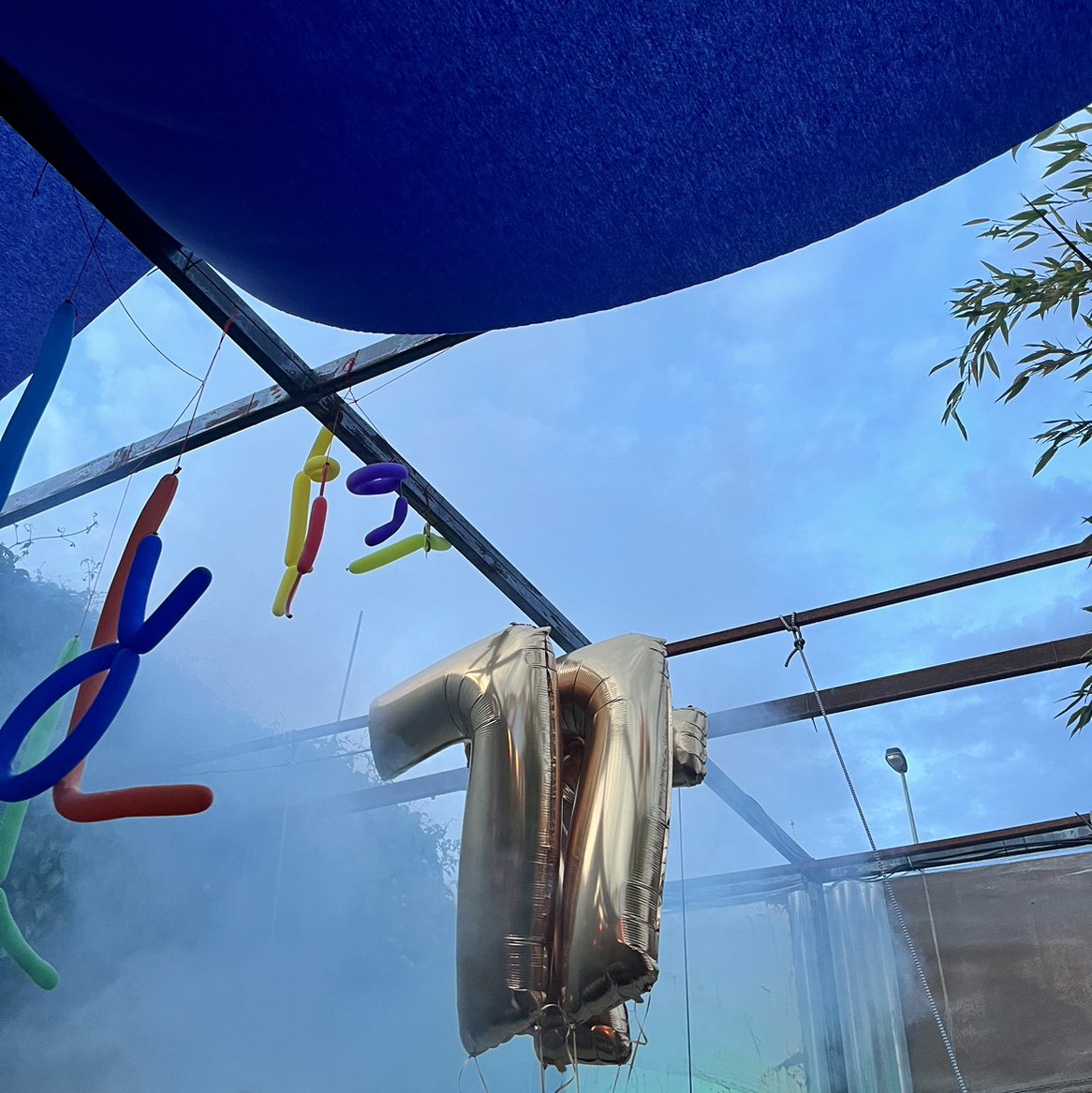 Ankali 7th Anniversary by Feenicks (DJ Mix): Reviews, Ratings, Credits ...