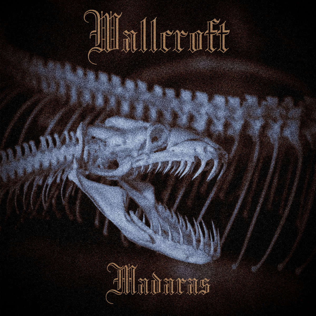 Madaras by Wallcroft (Album, Harsh Noise Wall): Reviews, Ratings ...