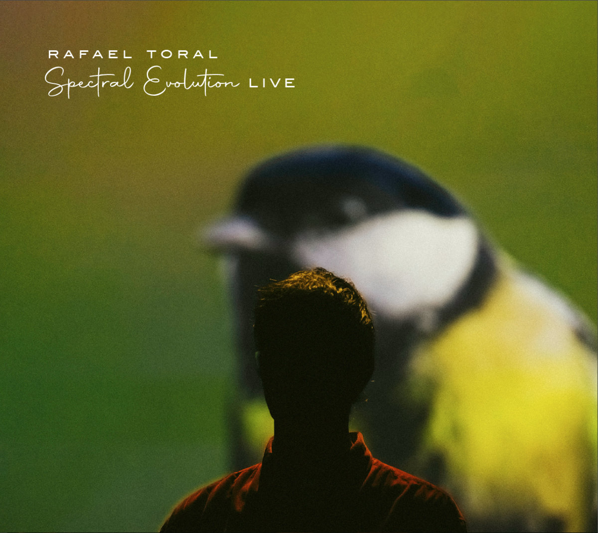 Spectral Evolution Live by Rafael Toral (Album, Ambient): Reviews ...