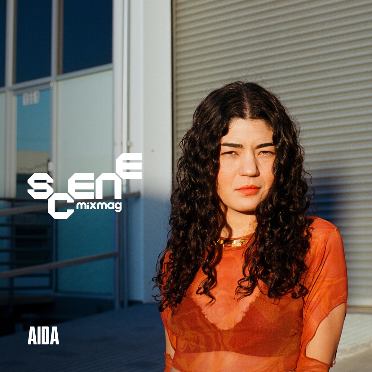 Scene by AIDA (DJ Mix, Progressive House): Reviews, Ratings, Credits ...