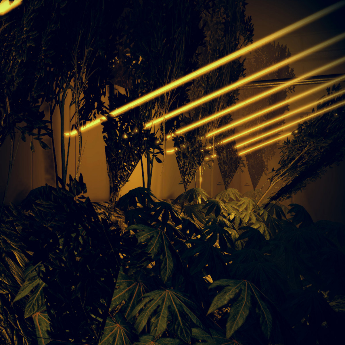 Zakera Ward by bpb (EP, Ambient): Reviews, Ratings, Credits, Song list ...