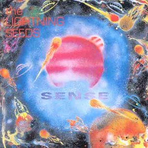 Sense by The Lightning Seeds (Album; Virgin; V2690): Reviews, Ratings ...