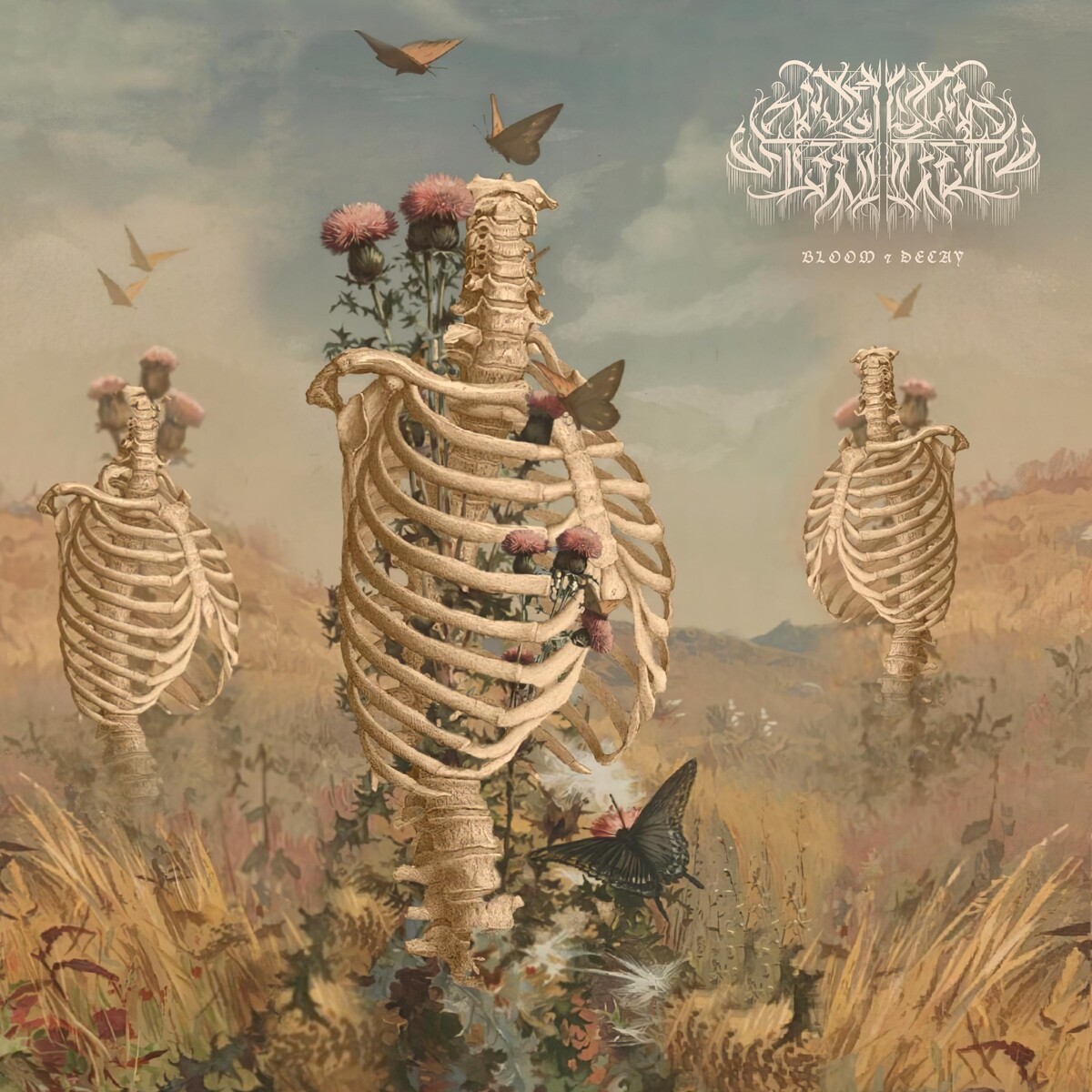 Bloom & Decay by Dawn Treader (Album, Blackgaze): Reviews, Ratings ...