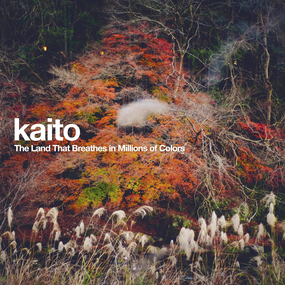 The Land That Breathes in Millions of Colors by Kaito (Album): Reviews ...