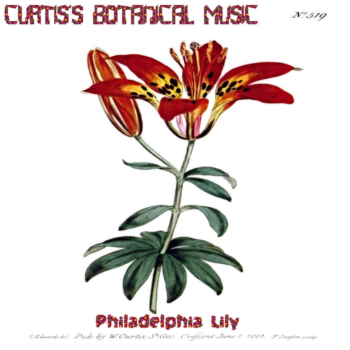 Philadelphia Lily by Curtis's Botanical Music (EP, Electronic): Reviews ...