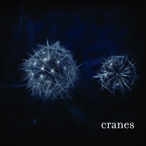 Cranes by Cranes (Album, Dream Pop): Reviews, Ratings, Credits, Song ...