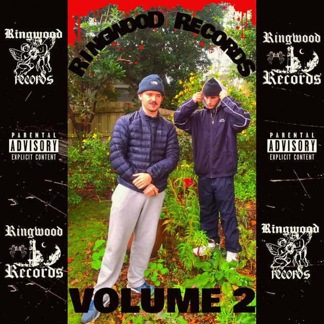 Ringwood Records, Vol. 2 by DIB & el jako (Album): Reviews, Ratings ...