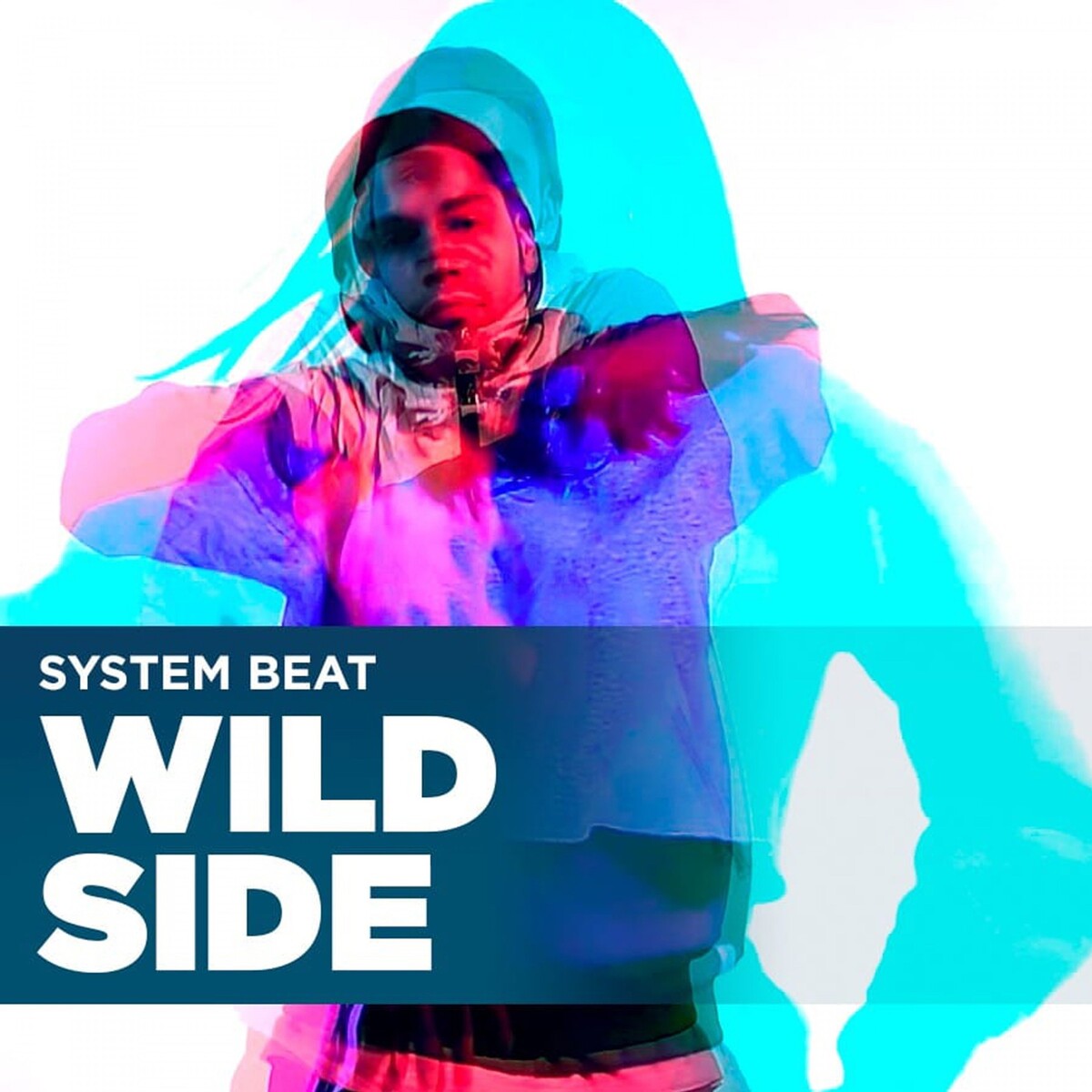 Wild Side by System Beat (Single): Reviews, Ratings, Credits, Song list ...