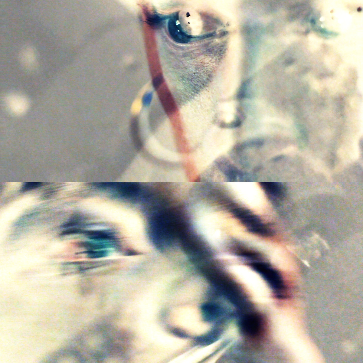 Hyperstition Duo Albums: songs, discography, biography, and listening ...