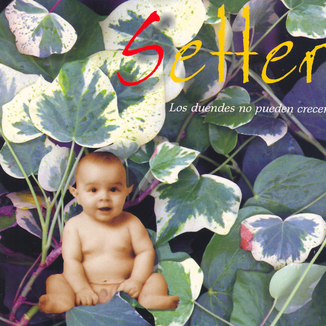 Best albums of all time released by Duma - Rate Your Music