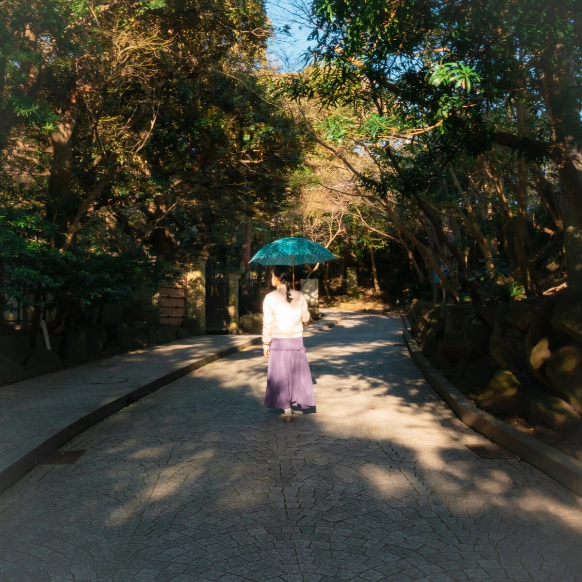 Ordinary Day by Rui Fujishiro (Single, Romanticism): Reviews, Ratings ...