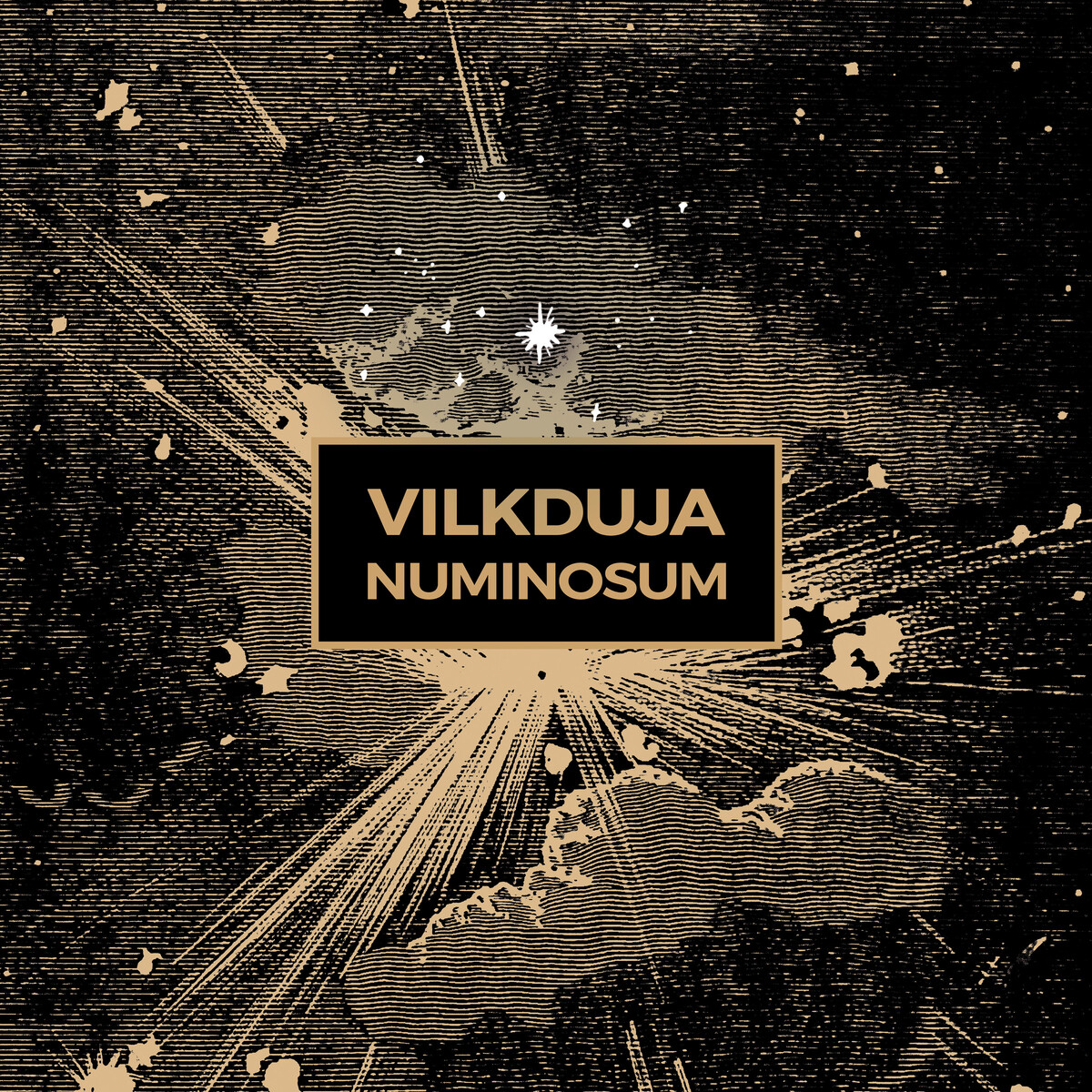 Numinosum by Vilkduja (Album): Reviews, Ratings, Credits, Song list ...