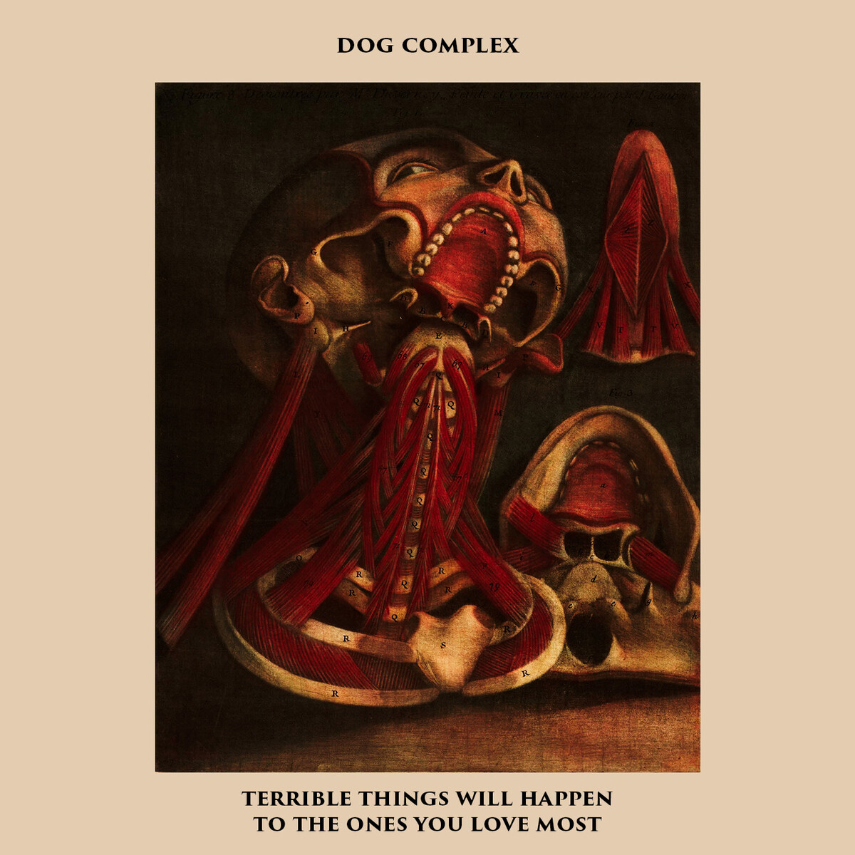 Dog Complex Albums: songs, discography, biography, and listening guide ...