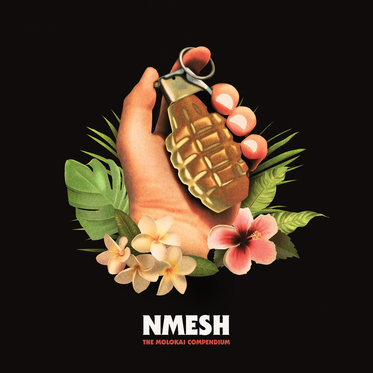 The Molokai Compendium by Nmesh (Album, IDM): Reviews, Ratings, Credits, Song list - Rate Your Music