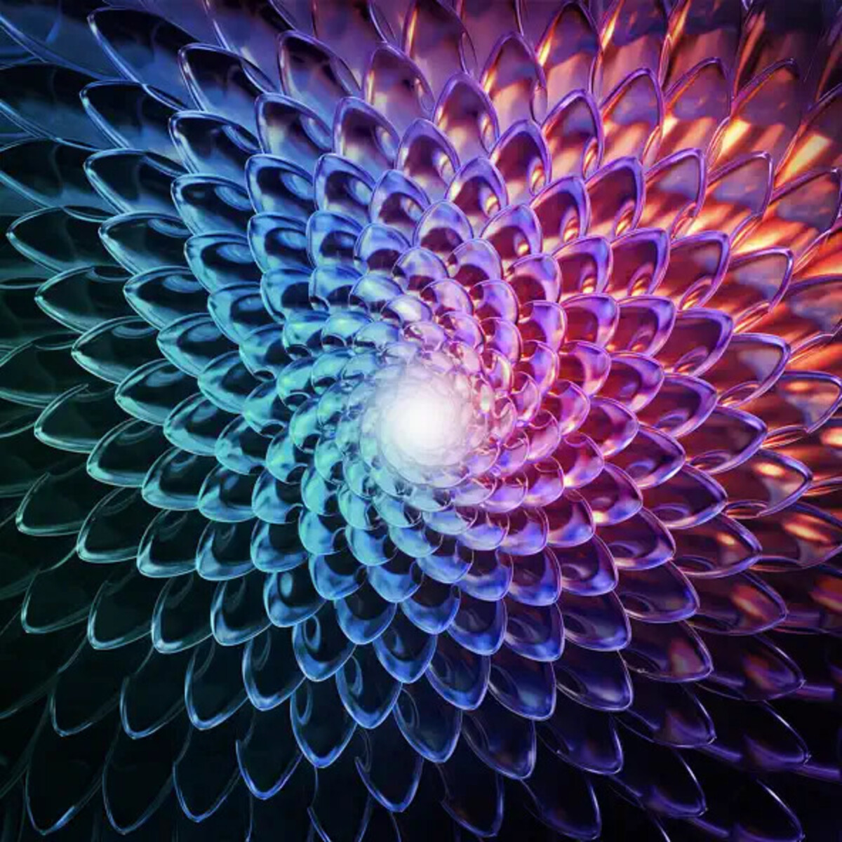 Spatial Focus Music by Tom Middleton (Album): Reviews, Ratings, Credits ...